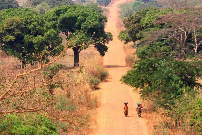 CCM’s 2025–2030 Infrastructure Revolution, Igniting Economic Growth in ...